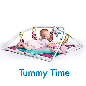 Gymini Deluxe Activity Gym Play Mat, Tiny Princess Tales