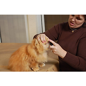 Plaque Attack Pet Dental Spray