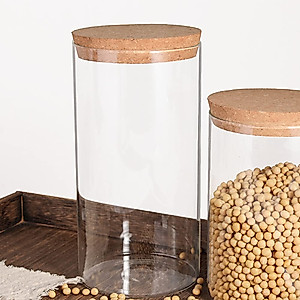 VASANA 2PCS Glass Food Storage Containers 300ml/10oz Kitchen Storage Containers With Cork Lids Empty Clear Glass Bottles for Coffee Bean Dry Goods Tea Storage