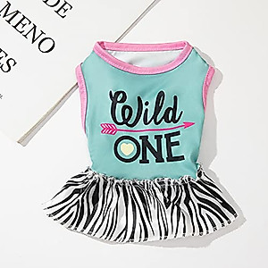 Pet Clothes Breathable Letter Printing Fashion Skirt Hem Soft Crew Neck Dress Up Polyester Puppy Cute Print Skirt for Outdoor Pet