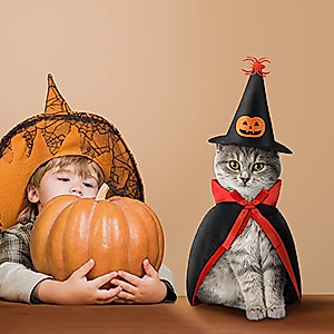 Halloween 5 Pieces Pet Costume Cat Dogs Cosplay Clothes Vampire Cloak Bat Pumpkin Hat Bib with Bells Bat Wings Dinosaur Dragon Wing Cat Collar Small Kitty Puppy Outfits for Halloween Party Pet Cosplay