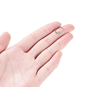 FUNLMO Septum Jewelry Nose Rings Hoop Cartilage Earring Hoop Daith Helix Rook Earrings Septum Helix Tragus Daith Piercing Jewelry Septum Nose Rings CZ 316L Surgical Steel 16G 8mm Rainbow