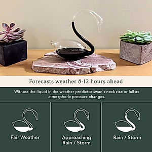 Blackswan Storm Glass Weather Predictor Crystal Swan Figurine | Unique Barometer Personal Weather Station for Office Home Decor for Men, Women, Kids, Adults | Liquid Pressure Meteorology Tools