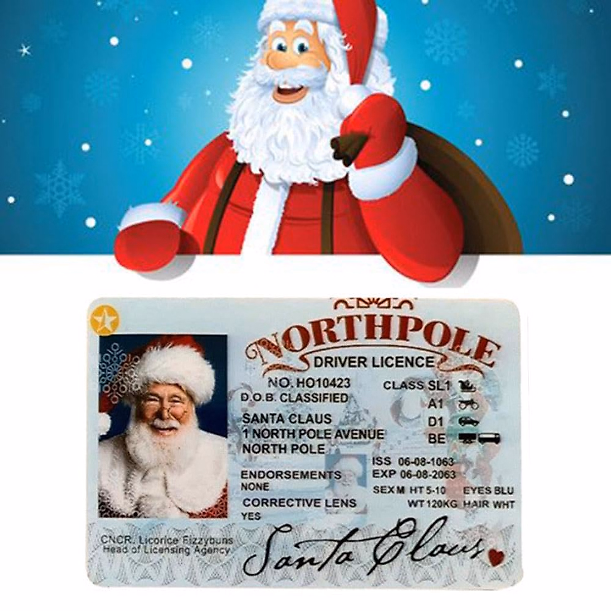 Santa Claus Lost Drivers License Christmas Decorations,Novelty Santa Sleigh Flying License ID Card,Santa Claus Card Flight License Christmas Eve Key Box Gift Xmas Tree Ornament