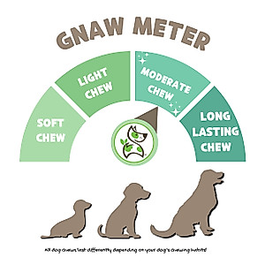 Nature Gnaws USA Smoked Bison Trachea Rings for Dogs (1Lb) – Delicious Grain Free Long Lasting Chew - Premium Natural Dog Chew Bones - Rawhide Free