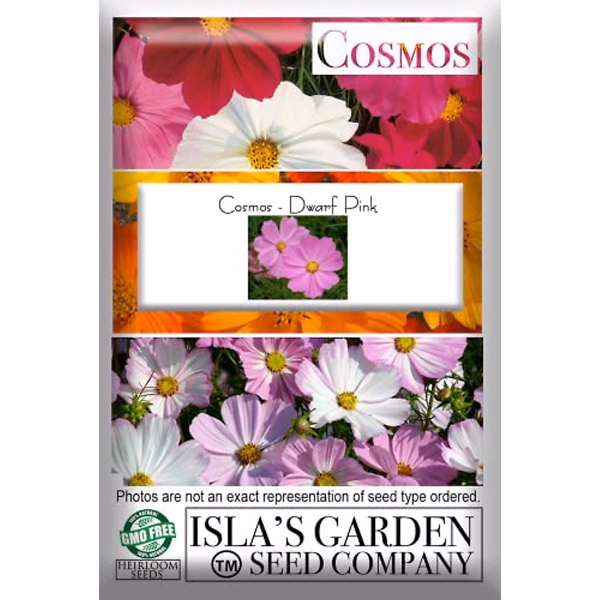 "Dwarf Pink" Cosmos Flower Seeds for Planting, 750+ Flower Seeds Per Packet, (Isla's Garden Seeds), Non GMO & Heirloom Seeds, Scientific Name: Cosmos bipinnatus