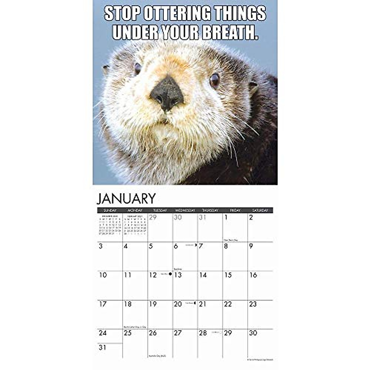 In Otter News 2021 Wall Calendar