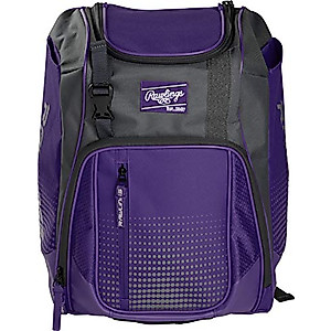 Rawlings Franchise Player's Baseball Backpack, Purple