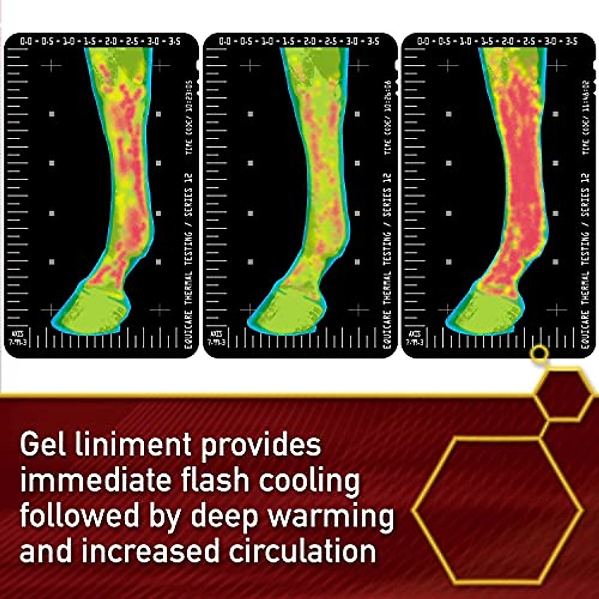 Vita Flex Thermaflex Liniment Gel for Sore Muscles and Joint Relief in Horses 12 Fluid Ounces