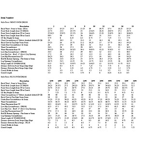 AmberNoon II by Dr. Erum Ilyas Swimsuit Size 16 Wide Strap Swim Dress Brown A473655