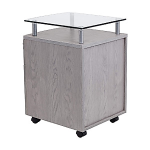 Techni Mobili Rolling Glass Top File Cabinet, Regular, Gray