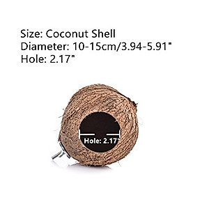 Hypeety Pet Bird Breeding Nest Coconut House Swing Ladder Toys Parrot Parakeets Finches Hamster House Natural Nest Lovebird Cage Hanging Swing Perch (C:Coco Cage Perch Toy)