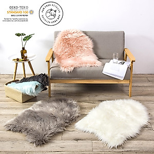 Teppich Wölkchen Faux Fur Rug | Sheep Skin Throw Rug | Washable Fluffy Area Rug, Fuzzy Shag Rug for The Living Room, Bedroom, Nursery Decor I Dark Gray - 2x3ft Sheepskin