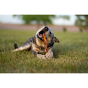 Redbarn All-Natural 12" Braided Bully Sticks for Dogs - Premium Slow Roasted Long Lasting Chew Treats Made with 100% Beef - Single Ingredient Low Odor Rawhide Free - 5 Count - Packaging May Vary