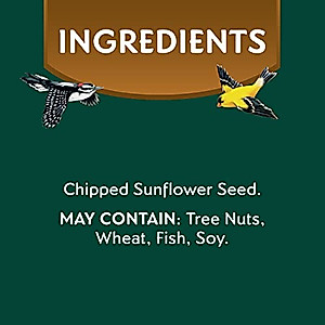 Morning Song Sunflower Hearts & Chips Wild Bird Food, No Mess Sunflower Seeds for Birds, 5.5-Pound Bag