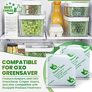 Natural Filters Replacement for Greensaver OXO Carbon Refill Packets and Crisper Inserts - 12 Pack