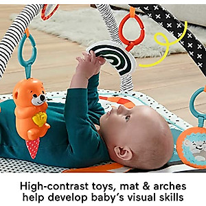 ​Fisher-Price 3-in-1 Baby Gym and Activity Mat Gift Set with Hedgehog Plush Sensory-Toy, Music Glow and Grow Gym [Amazon Exclusive]