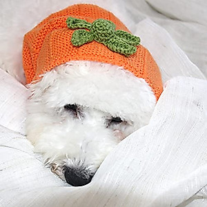 cyeollo Dog Pumpkin Costume Funny Dog Snood Knitted No Flap Ear Wrap Hood for Pets Small Dog Halloween Costumes