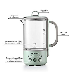 BUYDEEM K313 Travel Electric Kettle, Mini Healthy-Care Beverage Kettle, Tea Maker with German Schott Glass & Durable Pro 18/10 Pro Stainless Steel, 0.6L, Cozy Greenish