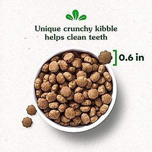 Greenies Smart Essentials Adult Large Breed High Protein Dry Dog Food Real Chicken & Rice Recipe, 30 lb. Bag