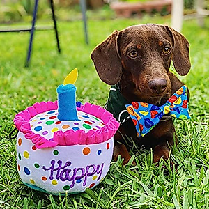 H&K Bow Tie for Pets | Party Time Blue (Extra-Large) | Birthday Velcro Bow Tie Collar Attachment | Fun Bow Ties for Dogs & Cats | Cute, Comfortable, and Durable | Huxley & Kent Bow Tie