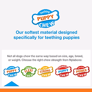 Nylabone New Puppy Chew Toy Bundle, Toys for Teething Puppies, Chicken & Bacon Flavors, Pink, X-Small - Up to 15 lbs, 4 Pack