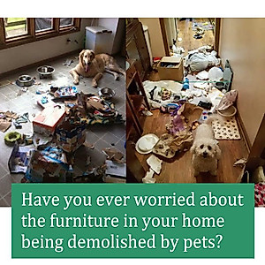 No Chew Spray for Dogs and Cats - 8 Fl Oz - Bitter Apple Spray to Keep Dogs from Chewing Things and Licking Paws - 2 in 1 Alcohol-Free Dog Training & Behavior Aids for Hot Spot and Furniture