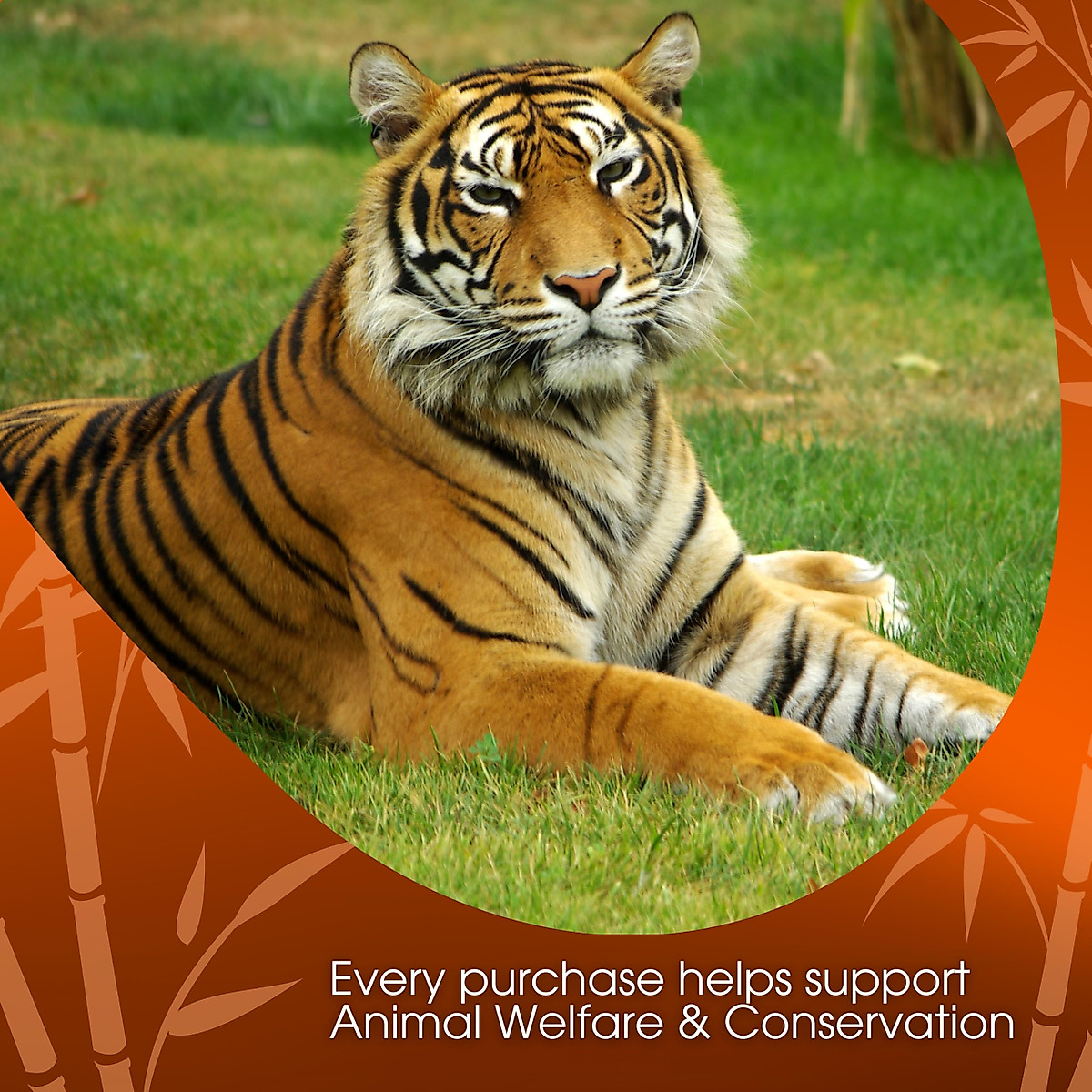 David Rio Mix, Tiger Spice, 14 Ounce (Pack of 1)