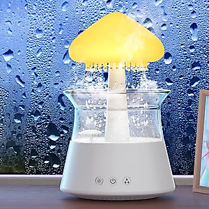 Diffuserlove Rain Cloud Humidifier Diffuser Water Drip Humidifier with Remote Waterfall Lamp Mushroom Humidifier Rain Sounds White Noise Humidifier Air Humidifiers for Bedroom Desk…