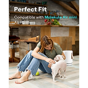 Leemone H13 True Air Mini Filter Replacements Compatible with Molekule Air Mini & Air Mini + Air Purifiers, 3-in-1 High-Efficiency True HEPA Replacement Filter, 2 Pack