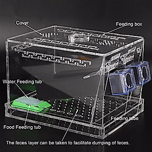 Acrylic Cricket Keeper, Ventilated Cricket Cage Removable Lid Cricket Enclosure with Feces Layer & Tubes for Observation of Small Pets Breeding (L)