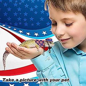 4 Pcs 4th of July Bearded Dragon Hats Lizard Bandanas Lizard Bowler Hat and Scarf, Independence Day Guinea Pig Clothes Independence Day Bearded Dragon Clothes Accessories for Reptile Lizard Gecko