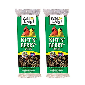 Wild-Delight Nut N' Berry- 2 Blocks Included13oz Each Total of 26oz