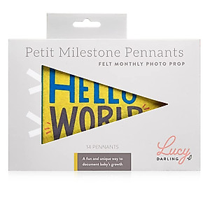 Lucy Darling Petit Milestone Pennants, 12 Felt Baby Monthly Milestone Banners for Baby Girl & Boy, Newborn Photography Props & Decor, Felt Pennant Flags, Perfect Baby Shower Gifts (Little Kaleidoscope)