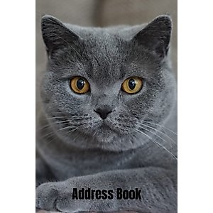 Address Book: Cat theme. Personal address book with space for 525 contacts .Record names, addresses, home, mobile,work, fax e-mail addresses.a5 size