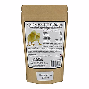 Animal Health Solutions - Chick Boost Probiotics, Help Boost Immunity in Newly Hatched Chicks (8 ounces)