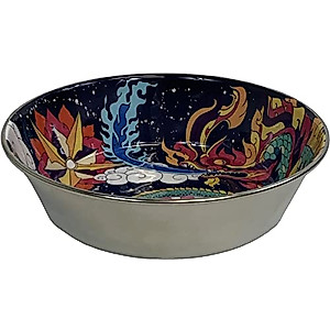 Multi Pet 48593261: Komodo Dragon Reptile Bowl, 6Cups