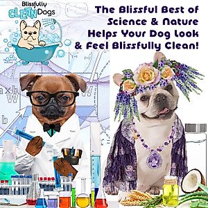 The Blissful Dog Blissfully Fresh Face Wash - Cleans Facial Folds and Wrinkles, 4-Ounce, Bulldog