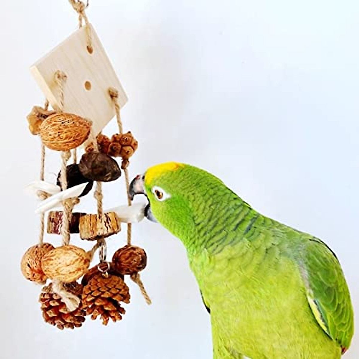 Bird Chewing Toys-Natural Wood Hanging Bird Cage Toys Set-Bird Swing Toys for Parrots, Parakeets, Cockatiels, Lovebird, Budgie, Conures (S-Cuttlebone)