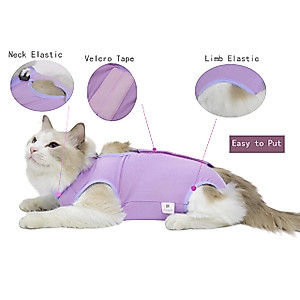 Acoutpet Cat Recovery Suit Female Kitten Cat Onesie for Cats After Surgery Female Spay Surgical Abdominal Wound Skin Diseases Cone Collar Soft Alternative Wear (Purple, S)