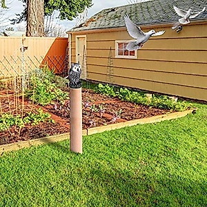 BRITENWAY Ultimate Scarecrow Owl Decoy Statue Realistic Fake Owl Outdoor Bird Deterrent, Hand-Painted Garden Protector, Scares Away Squirrels, Pigeons, Rabbits & More 10,5” Hollow Design