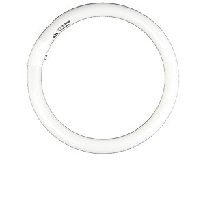 CHKADAWA FC12T9/CW 32W Cool White Round Fluorescent Light Bulb, 12 Inch T9 32 Watts Circular Bulbs, 12'' FCL 32 Circline Bulb 4100K 841, G10q 4 Pin Prong Base, 2 Pack