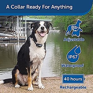 PetSafe Add-A-Dog Remote Training Collar – Perfect for Small, Medium and Large Dogs – Choose from Tone, Vibration, or 15 Levels of Static Stimulation – Waterproof and Durable – Rechargeable