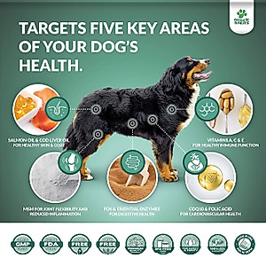 Doggie Dailies Bundle - 5-in-1 Multivitamin & Hip and Joint Soft Chews