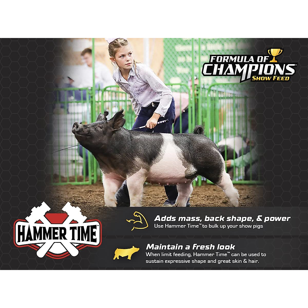 Hammer Time Nutritional Supplement for Show Pigs, 25 lb Bucket