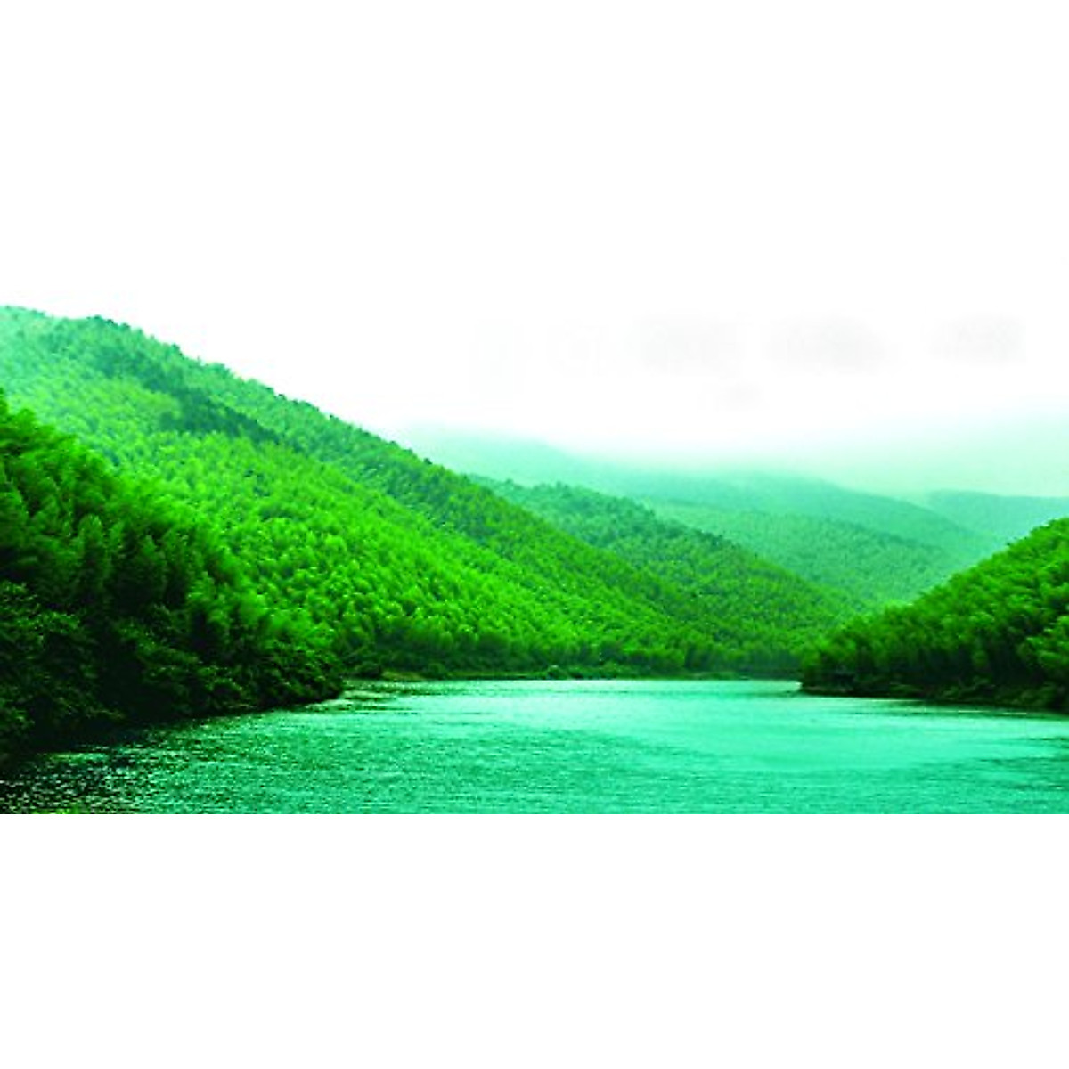 TOPSEAT Native Impression Elongated Toilet Seat w/Brushed Nickel Hinges, Natural Bamboo