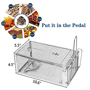 2-Pack Humane Rat Cage Traps, Live Mouse Rat Traps Catch and Release for Indoor Outdoor, Small Animals Traps, Easy to use, Pet Safe ( 10.6"x 5.5"x 4.5" )