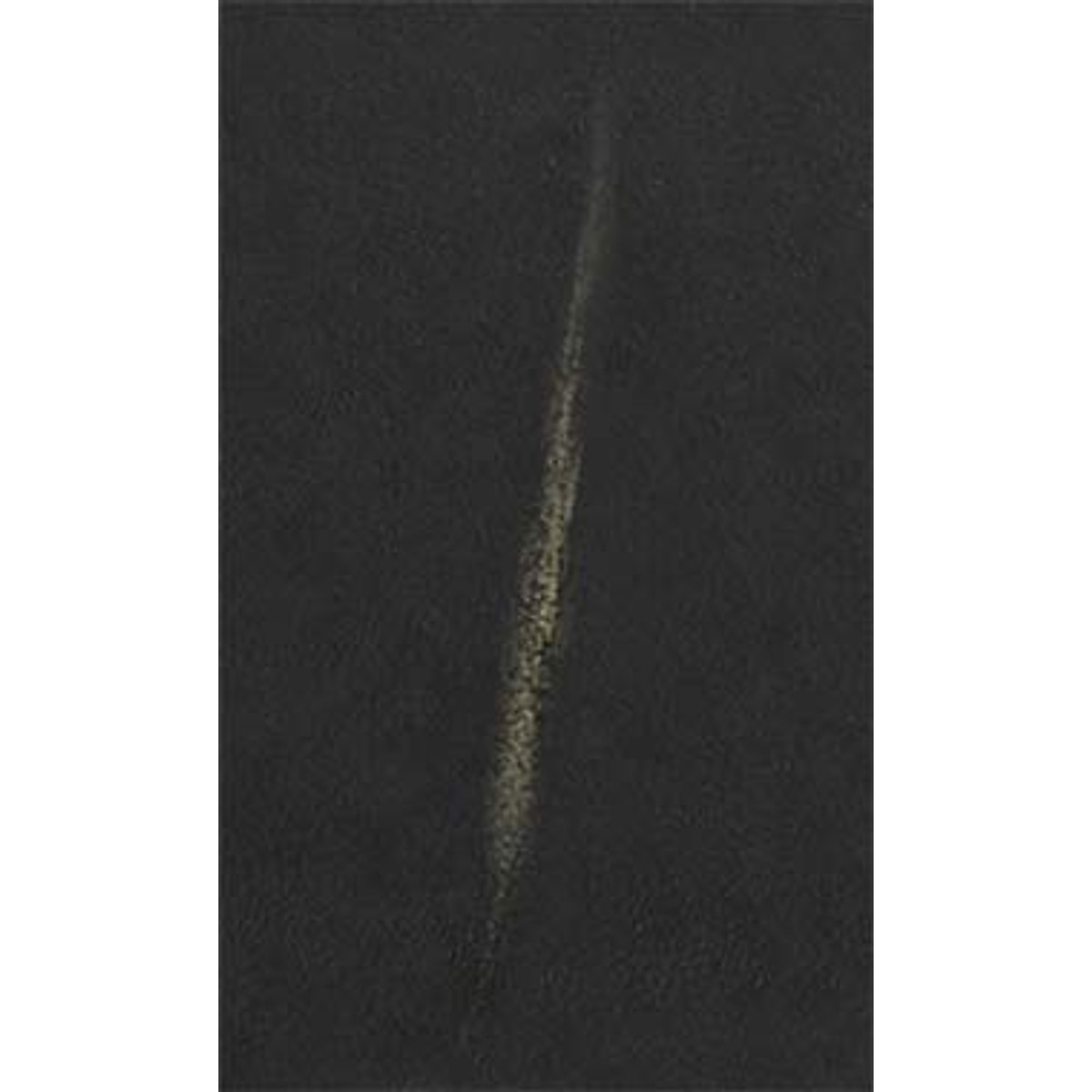 SSWBasics Boutique Vintage Adjustable Single Costumer - Adjustable from 48" to 72"