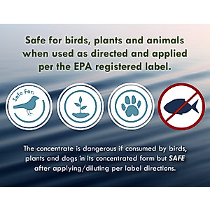 Fountain Algaecide and Clarifier - 64oz - Kills and Inhibits All Types of Algae Growth, Formulated for Small Ponds and Water Features, Treats up to 64,000 Gallons