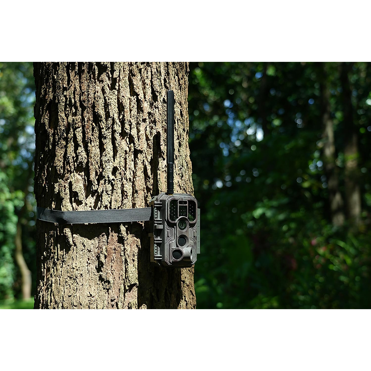 Meidase Cellular Trail Camera S950, Game Camera with 4G LTE, Clear 100ft No Glow Night Vision, Sends Picture to Cell Phone App